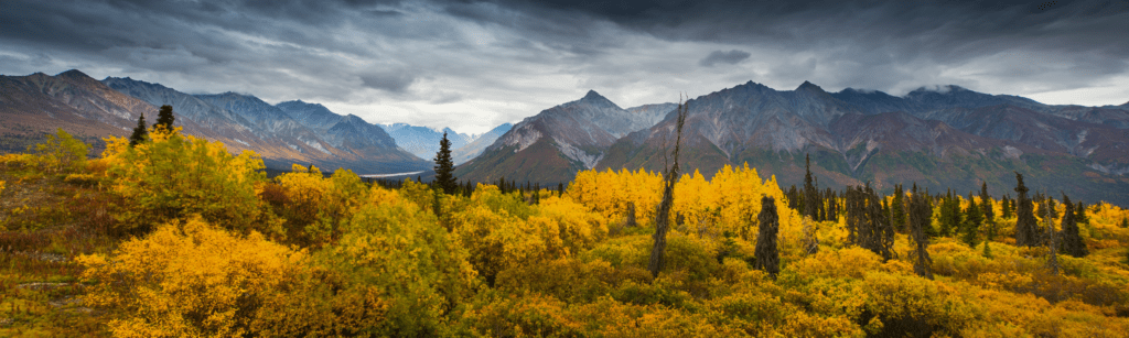 Impact Stories - Alaska Community Foundation